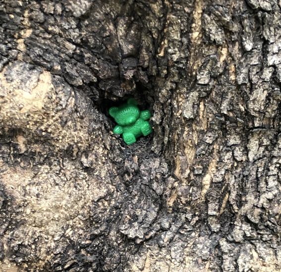 Private Geocaching Bear Hunt